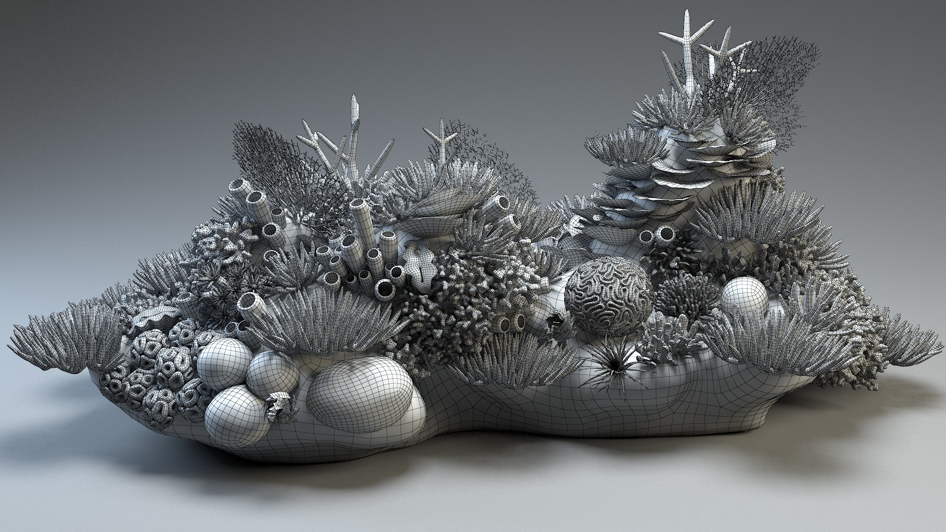 Coral reef 03 3D - TurboSquid 1487117