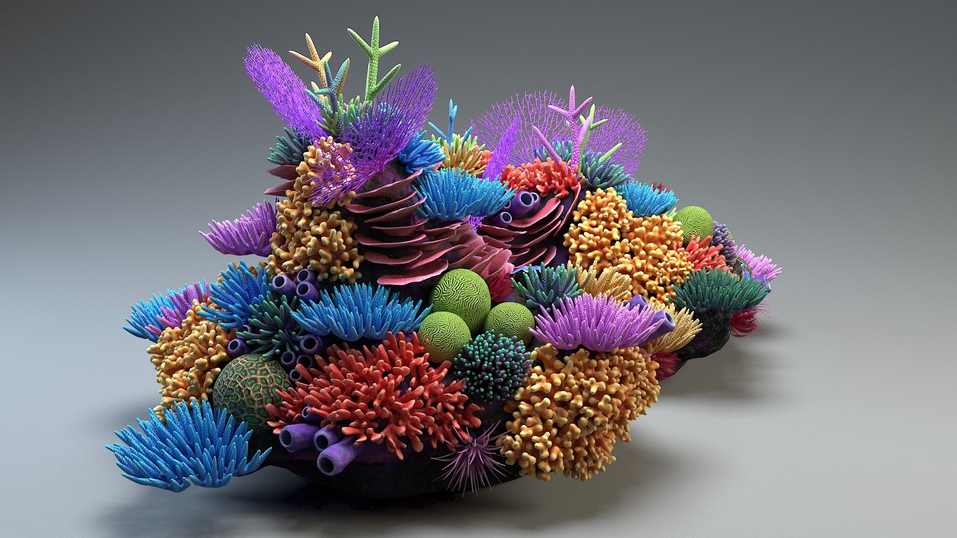 Coral reef 03 3D - TurboSquid 1487117