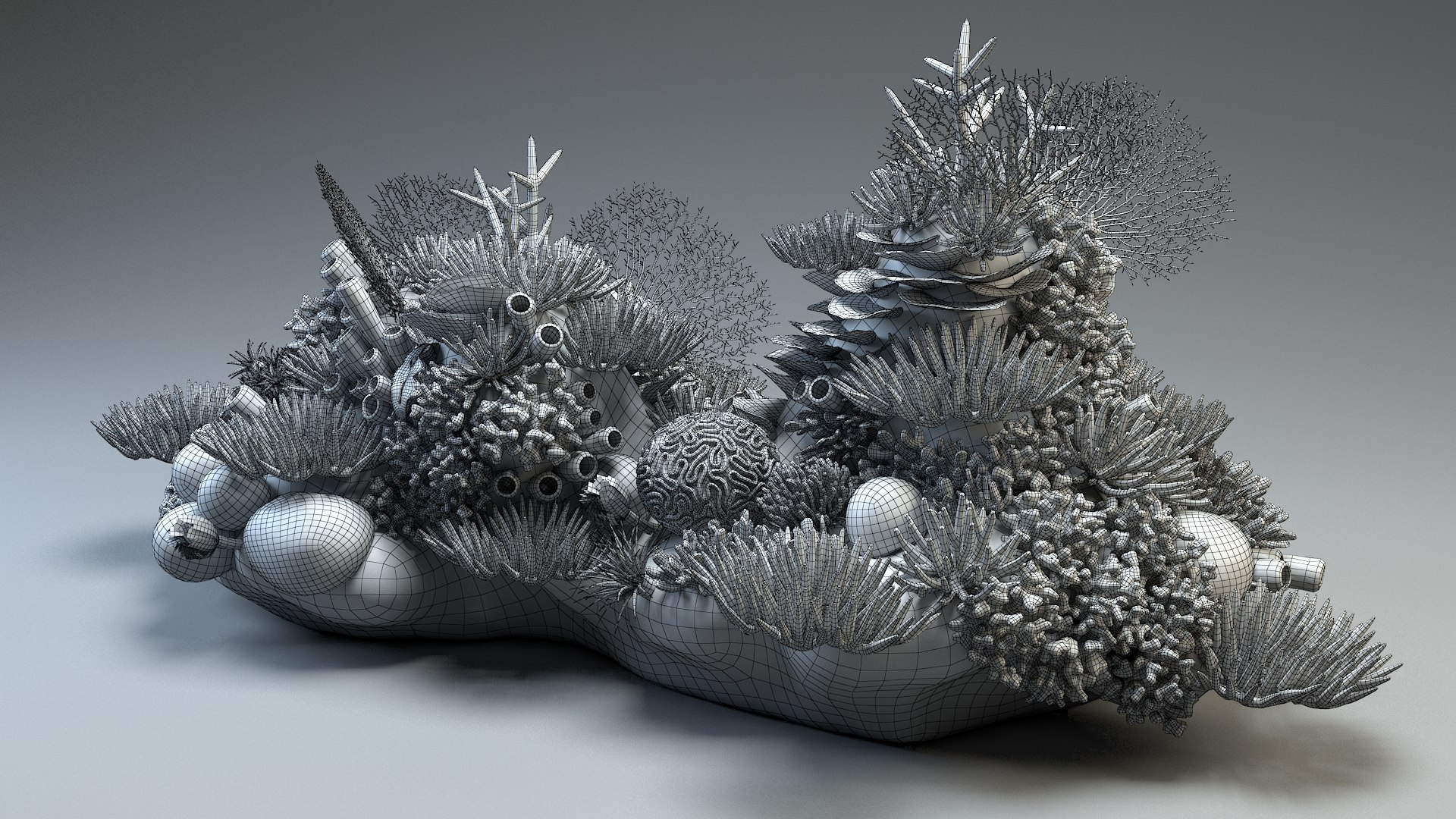 Coral reef 03 3D - TurboSquid 1487117