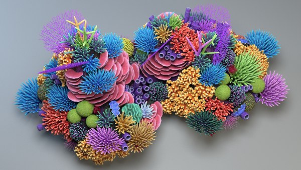Coral reef 03 3D - TurboSquid 1487117