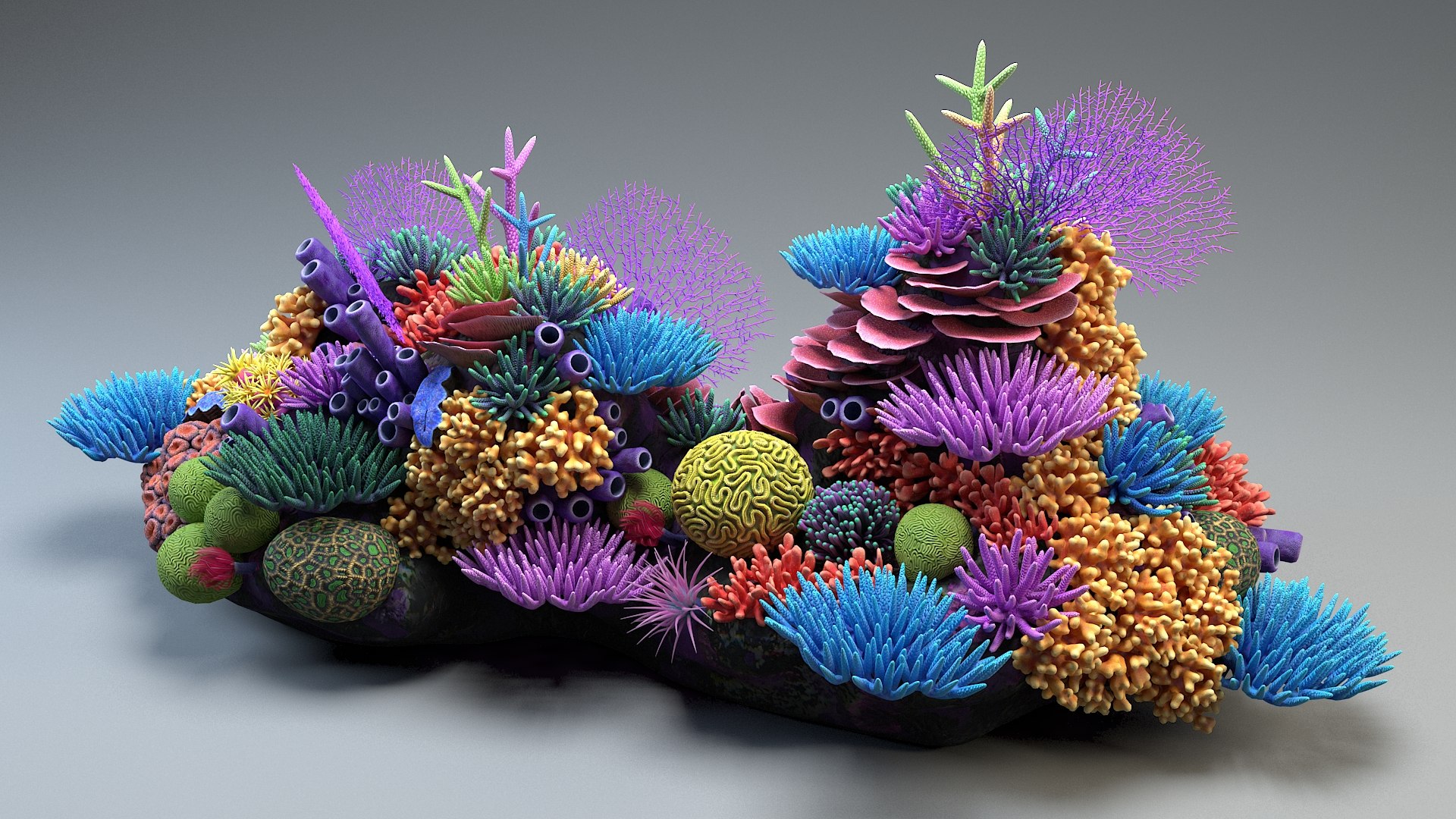 Coral reef 03 3D - TurboSquid 1487117