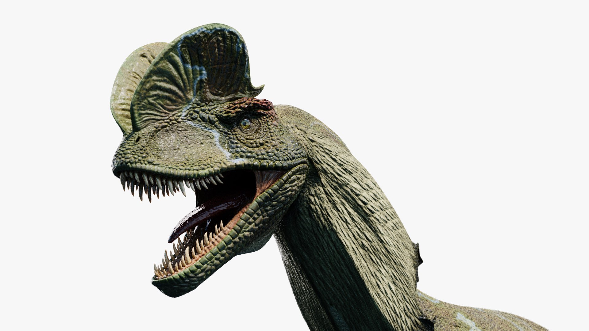 Dilophosaurus Rigged Animation Model - TurboSquid 1313424