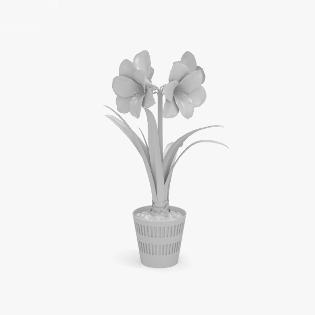 Amaryllis flowers plant 3D model - TurboSquid 1498296