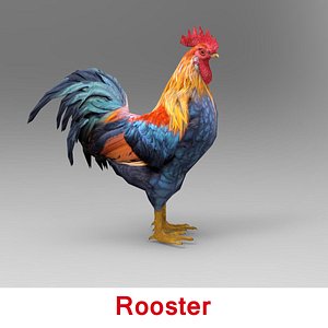 3d Model Rooster