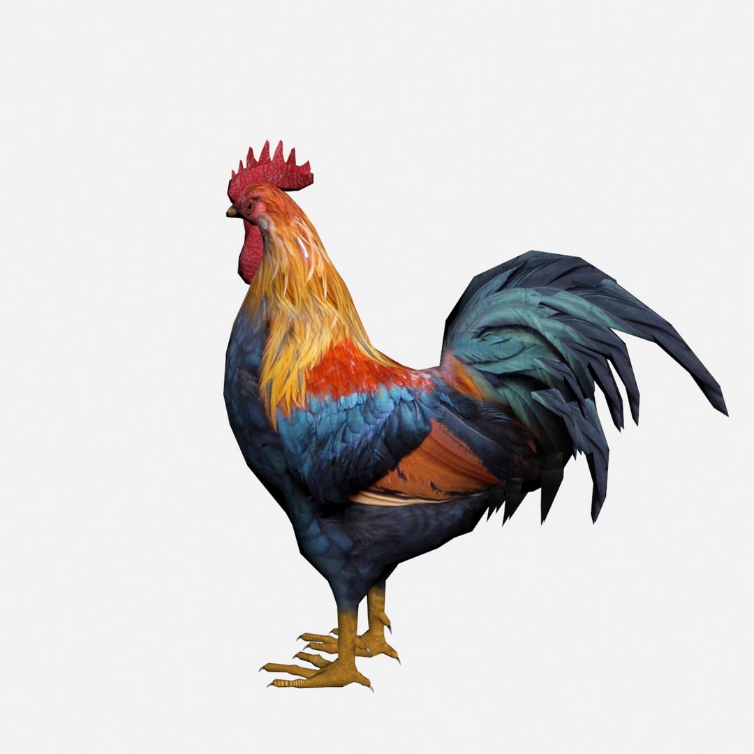 Max Rooster