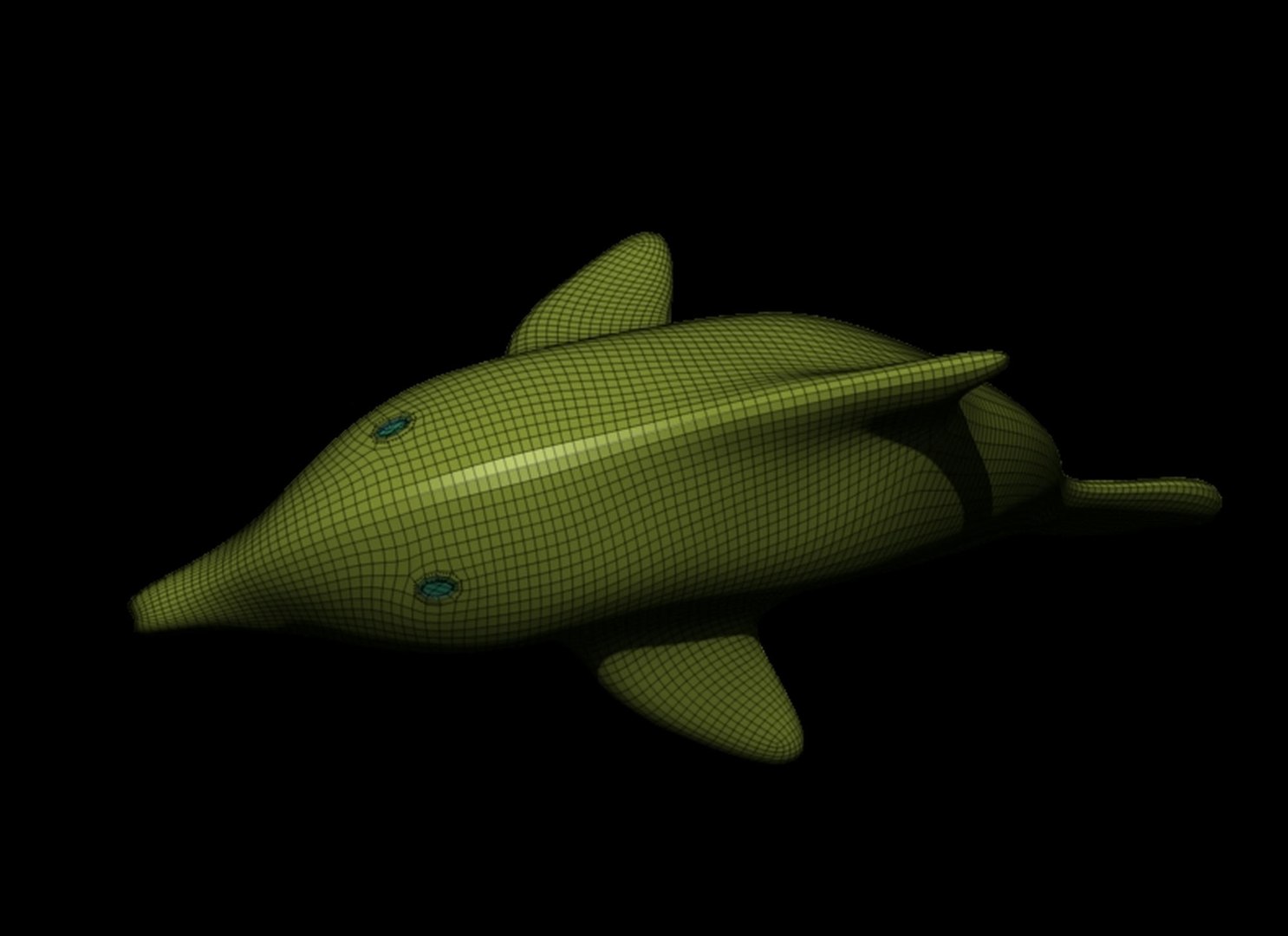 Dolphin Base Meshes 3D Model - TurboSquid 2369459