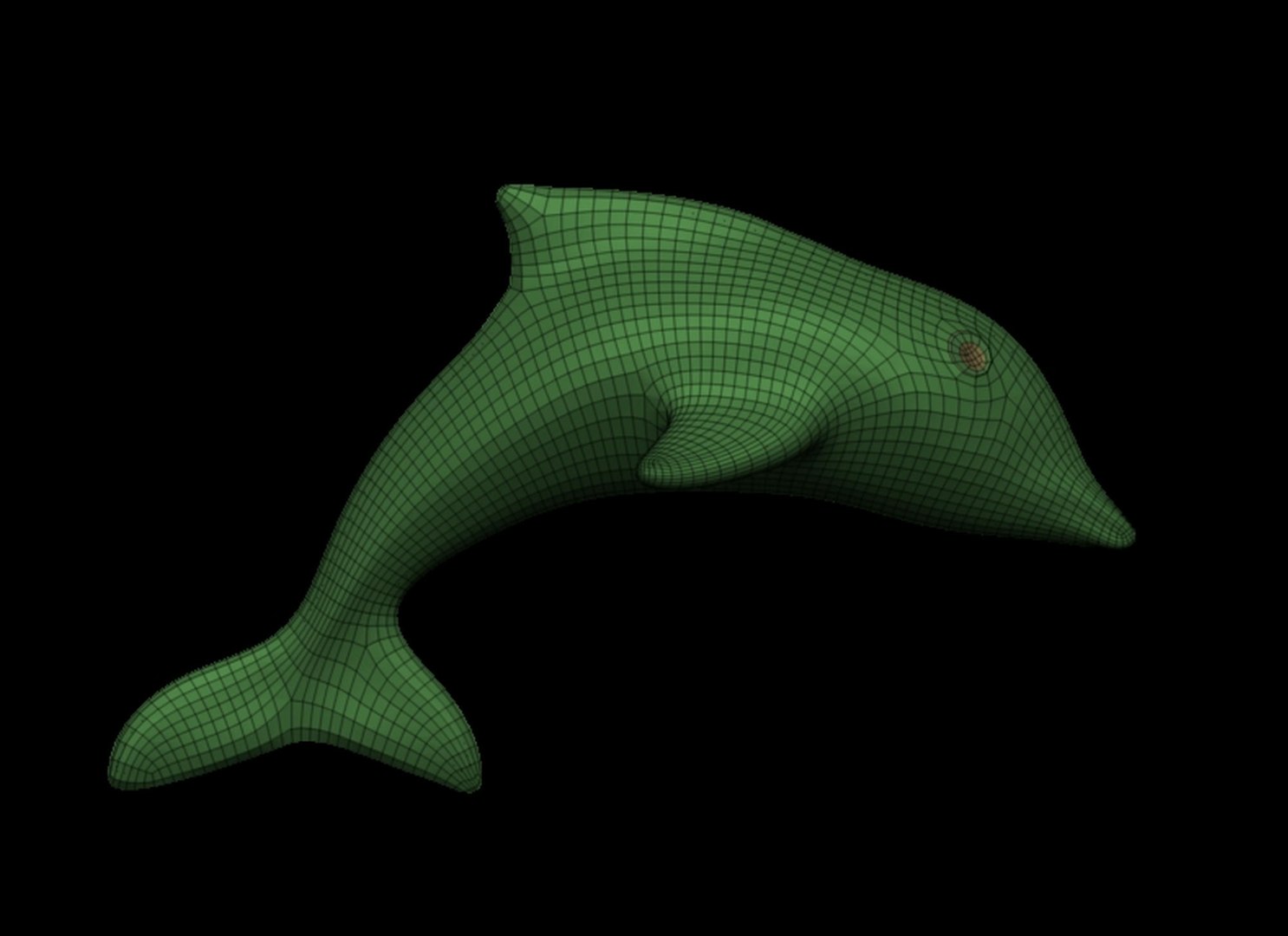 Dolphin Base Meshes 3D Model - TurboSquid 2369459