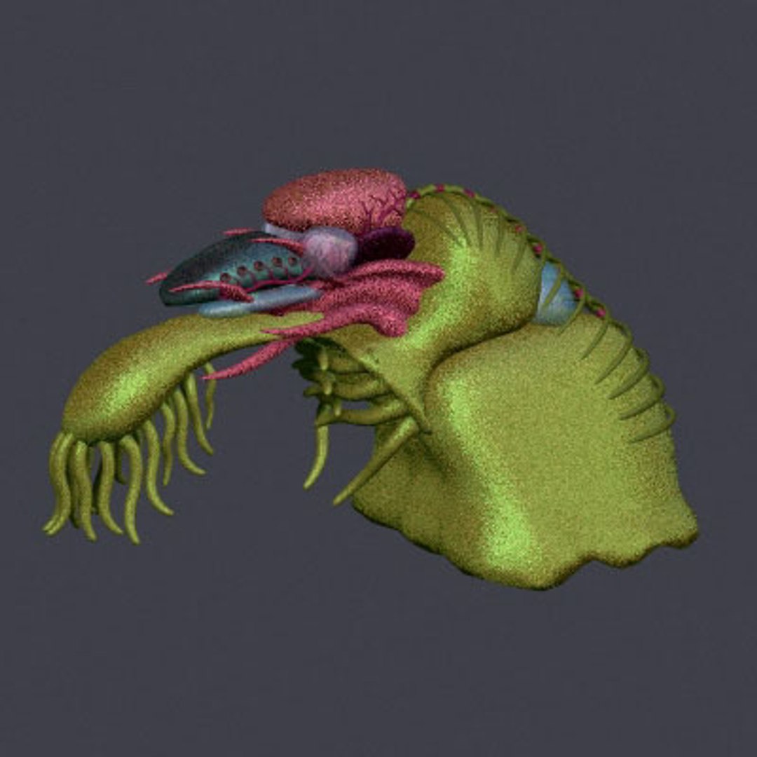 Pz3 Pug Slug-like Alien