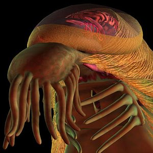 dinoman alien creature 3d model