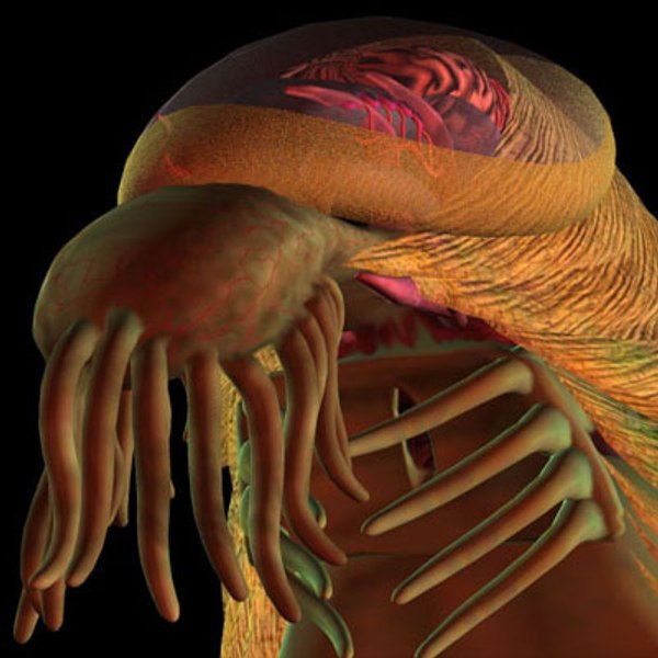 pz3 pug slug-like alien