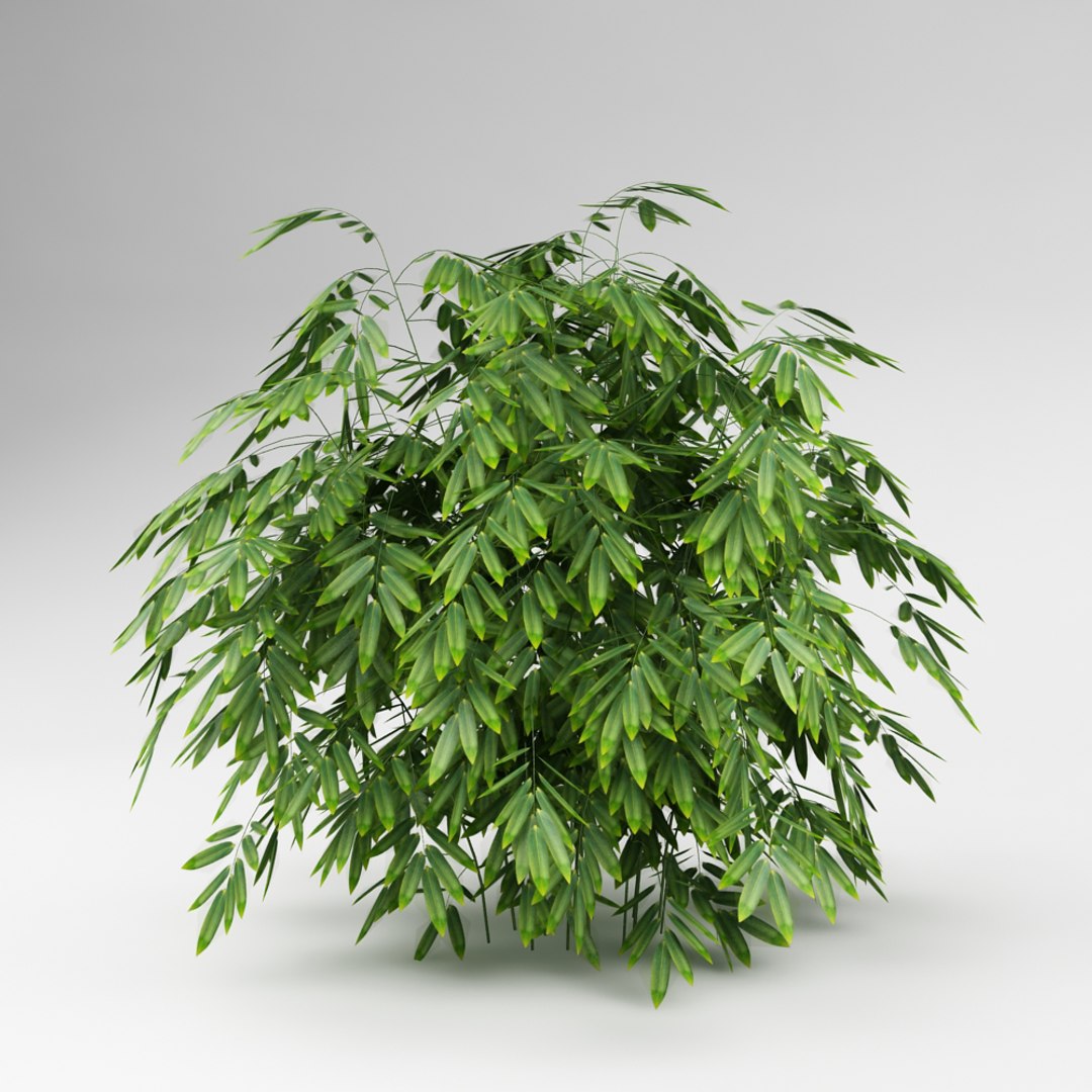 Bush Garden Bamboo 3d Max