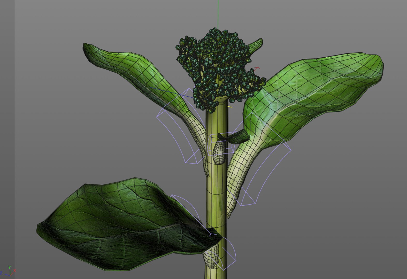 Broccoli 3D - TurboSquid 1544470