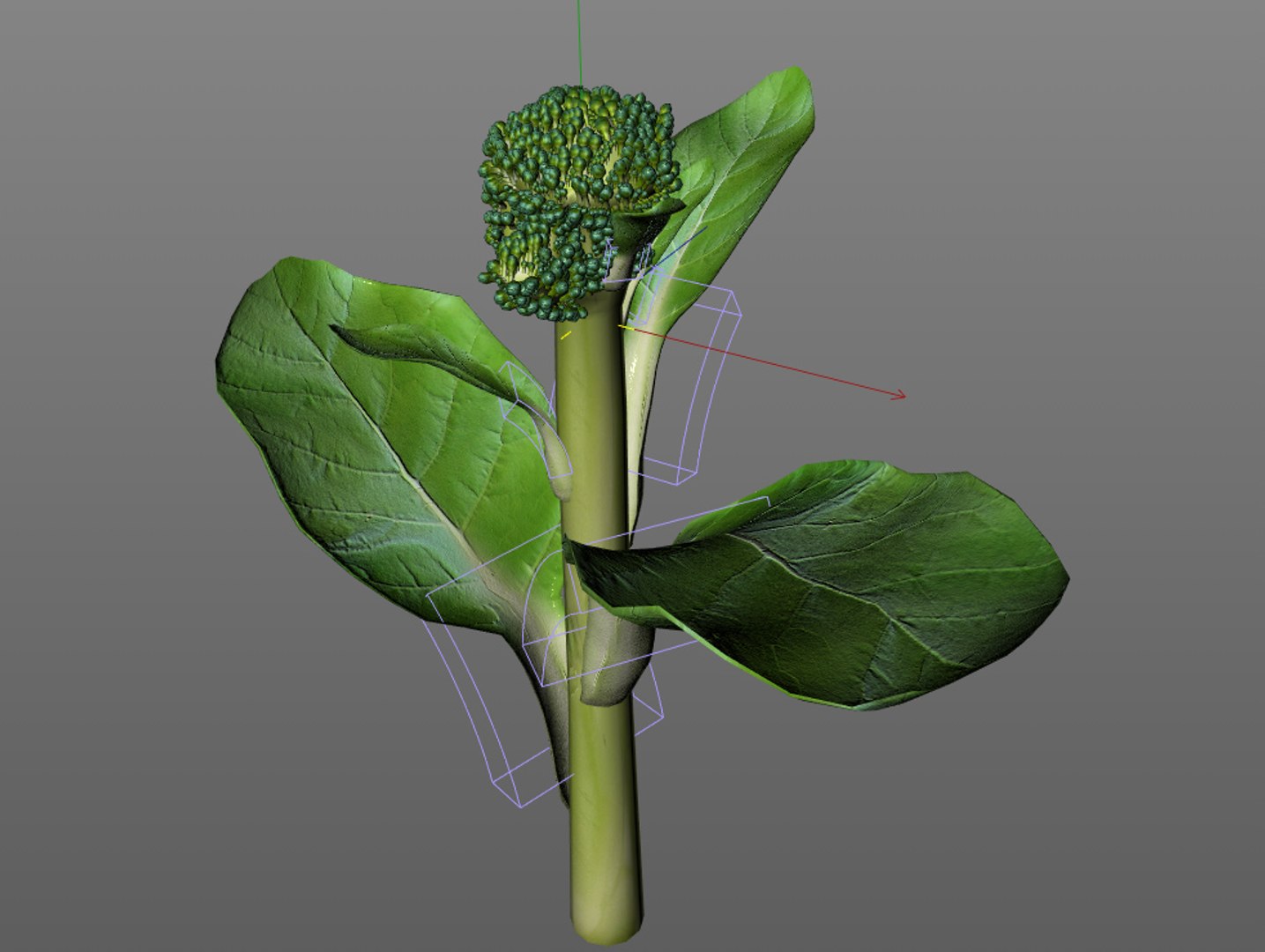 Broccoli 3D - TurboSquid 1544470