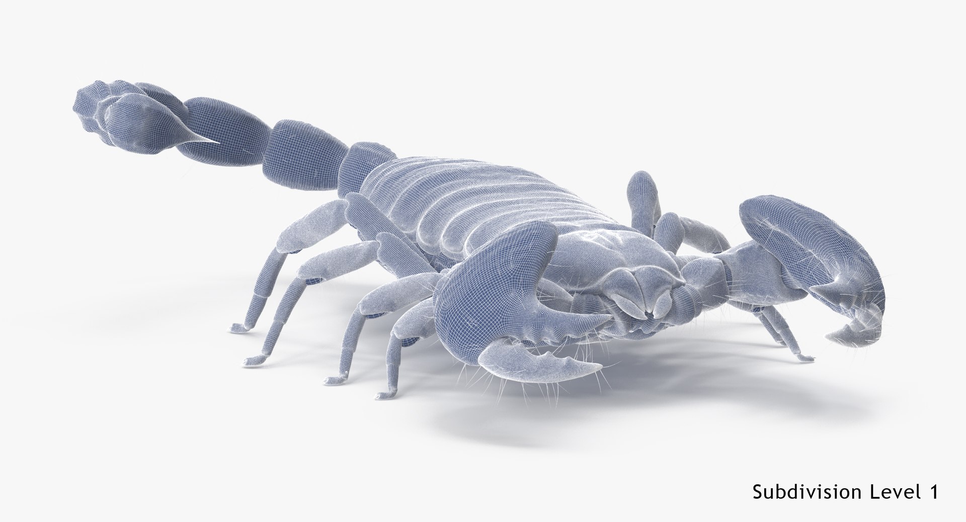 3d scorpion - model