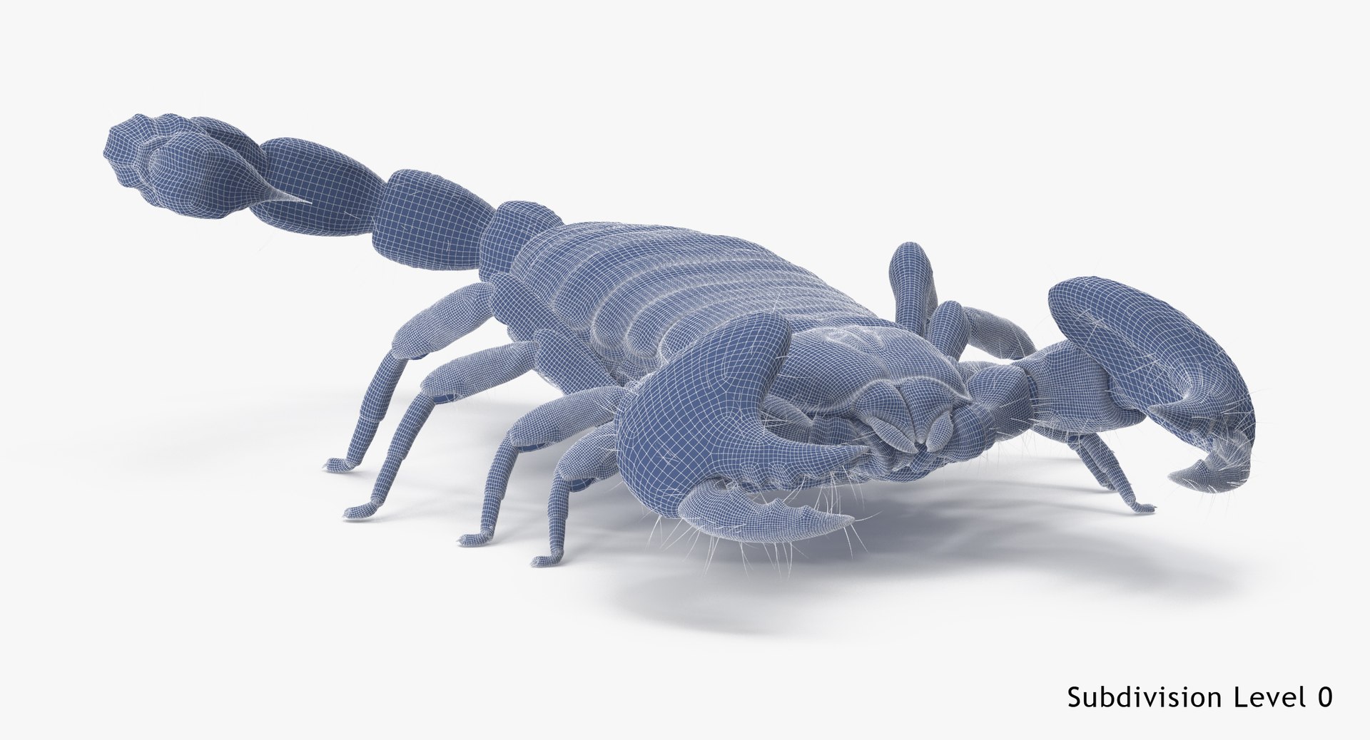 3d scorpion - model