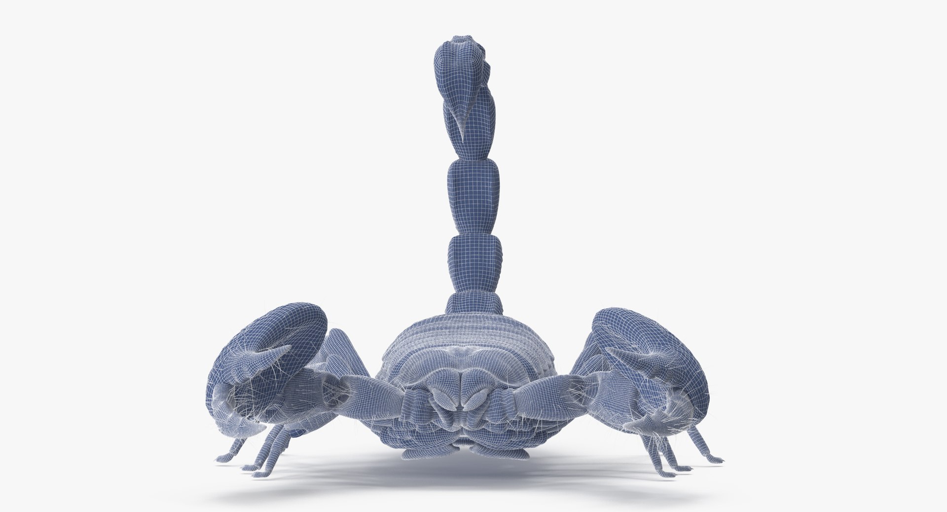 3d scorpion - model