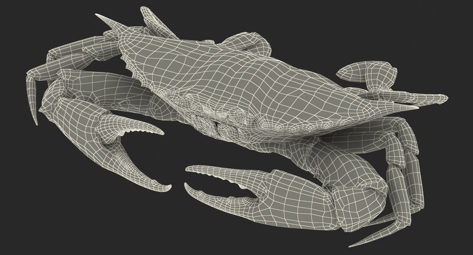 3D Atlantic Blue Crab Rigged - TurboSquid 1502096