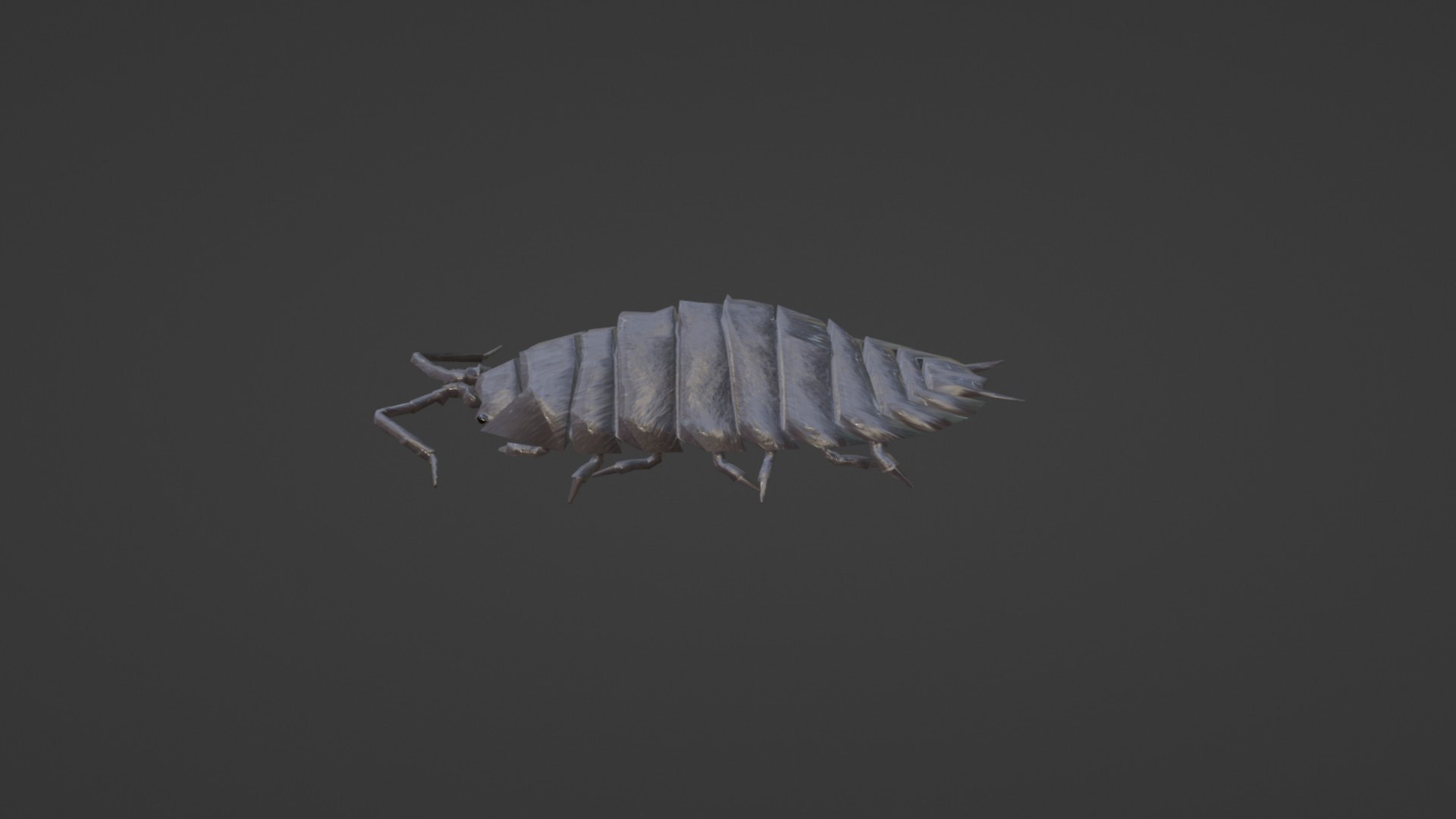 Oniscus Asellus Common Woodlouse Animated 3D Model - TurboSquid 2006425