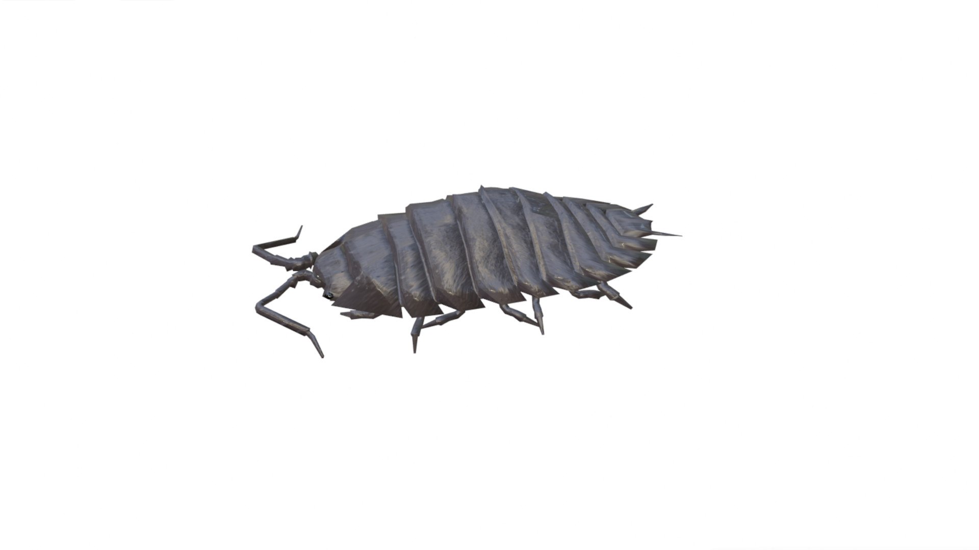 Oniscus Asellus Common Woodlouse Animated 3D Model - TurboSquid 2006425