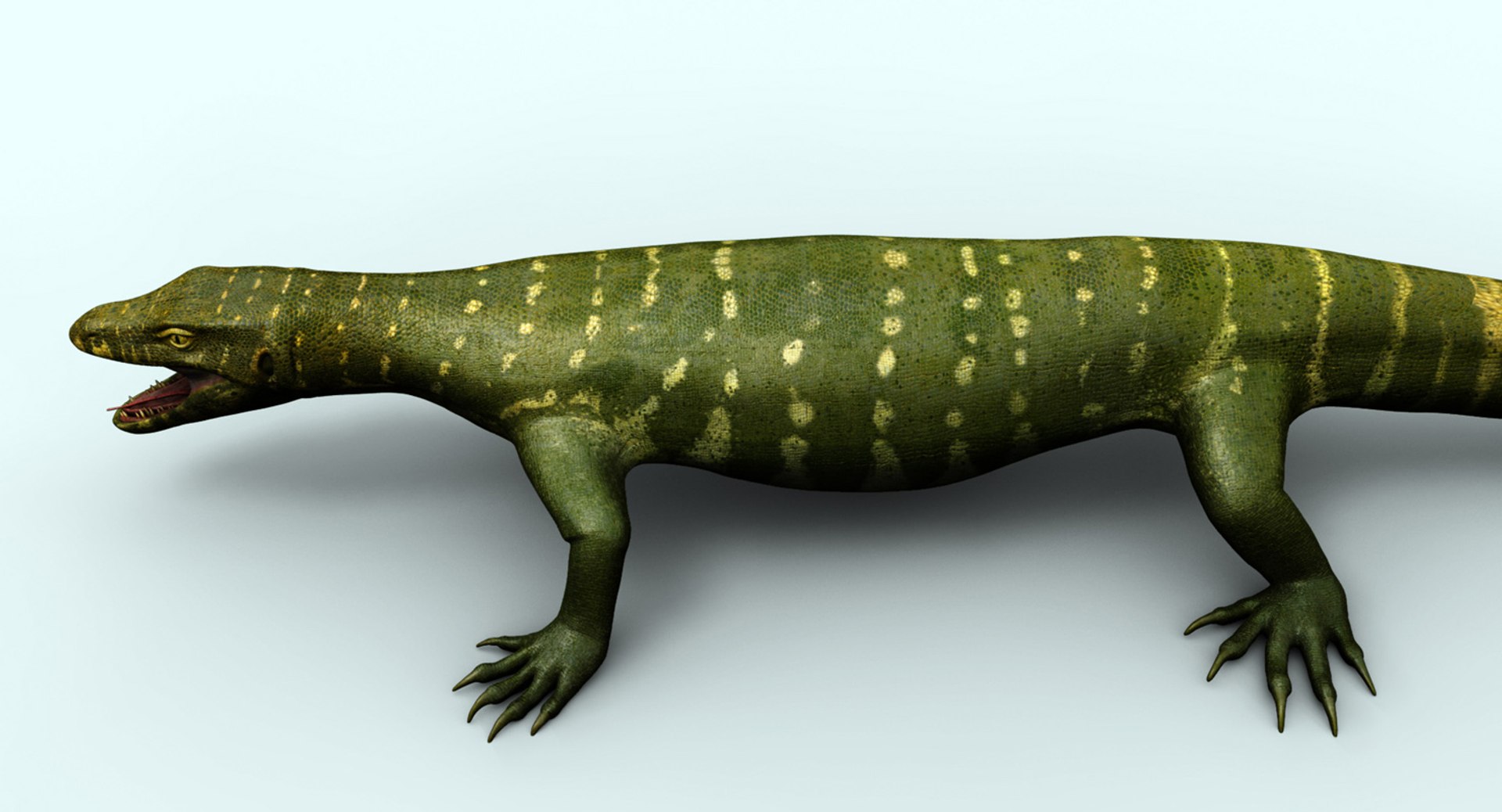 Green Lizard 3D Model - TurboSquid 1574834