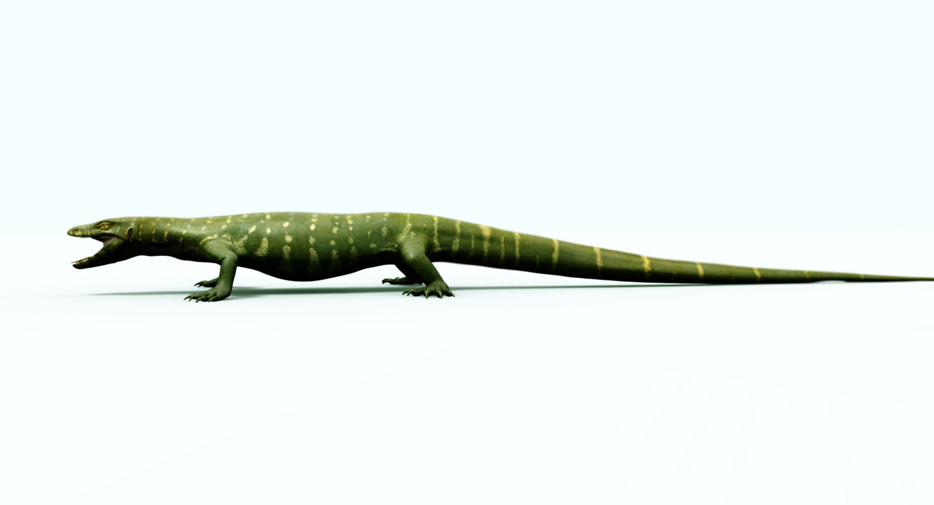 Green Lizard 3D Model - TurboSquid 1574834