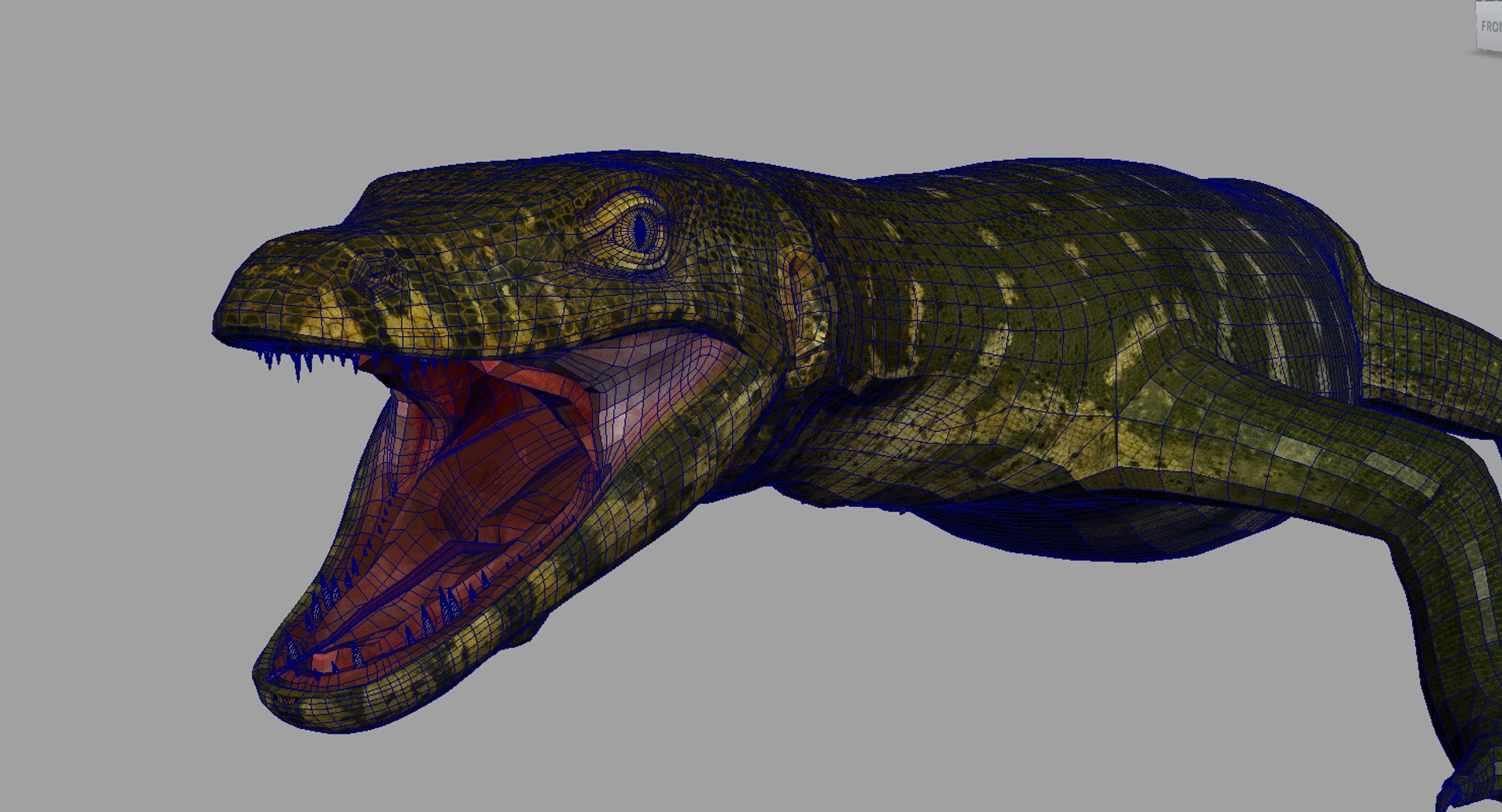 Green Lizard 3D Model - TurboSquid 1574834