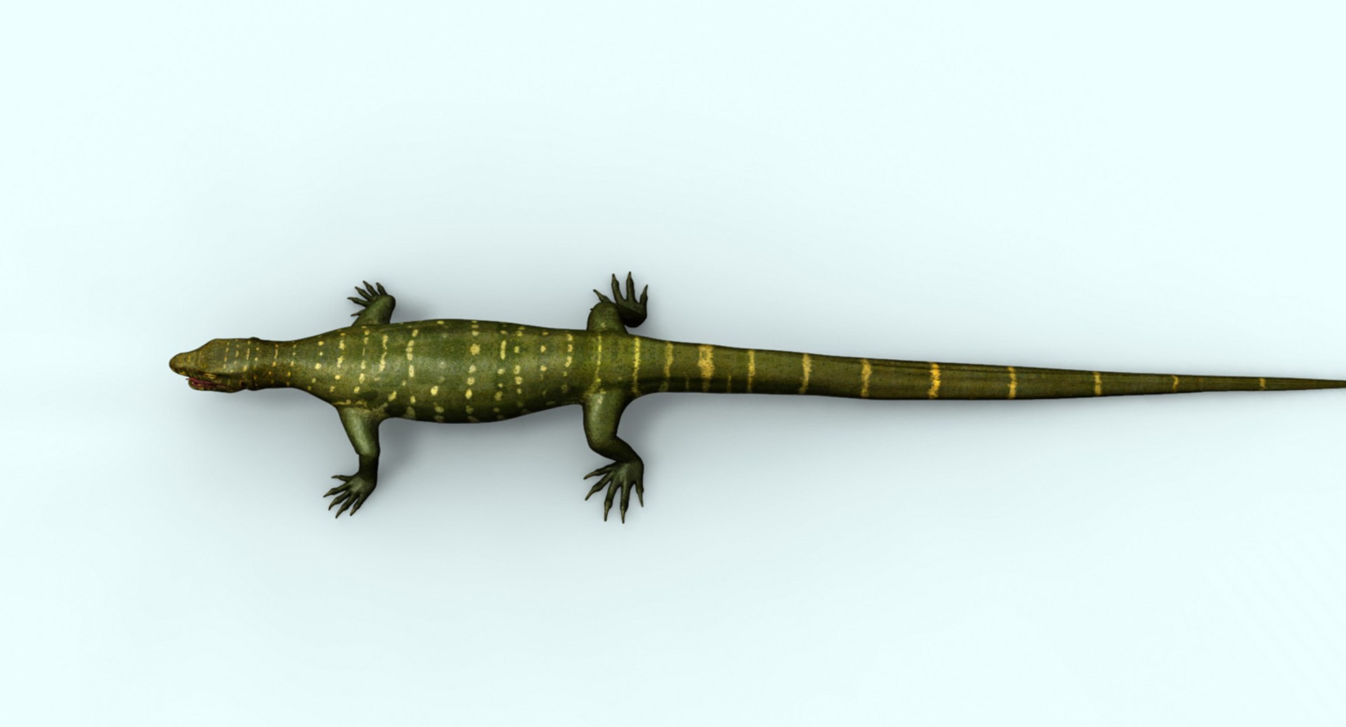 Green Lizard 3D Model - TurboSquid 1574834