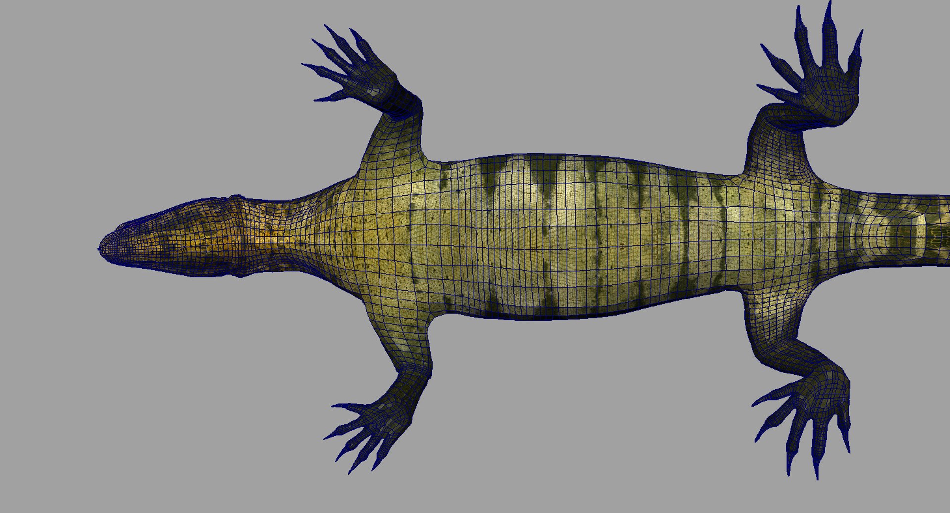 Green Lizard 3D Model - TurboSquid 1574834