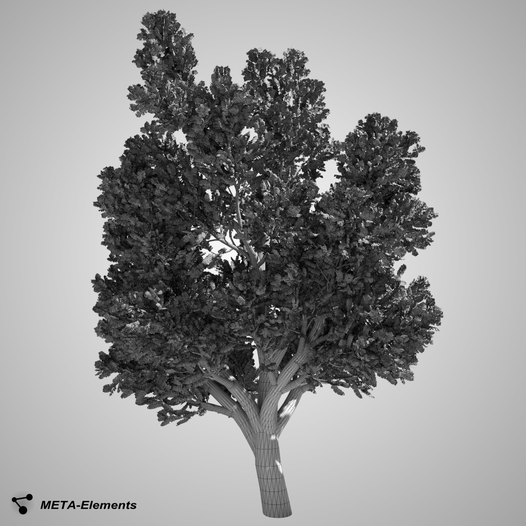 free broadleaf tree 3d model