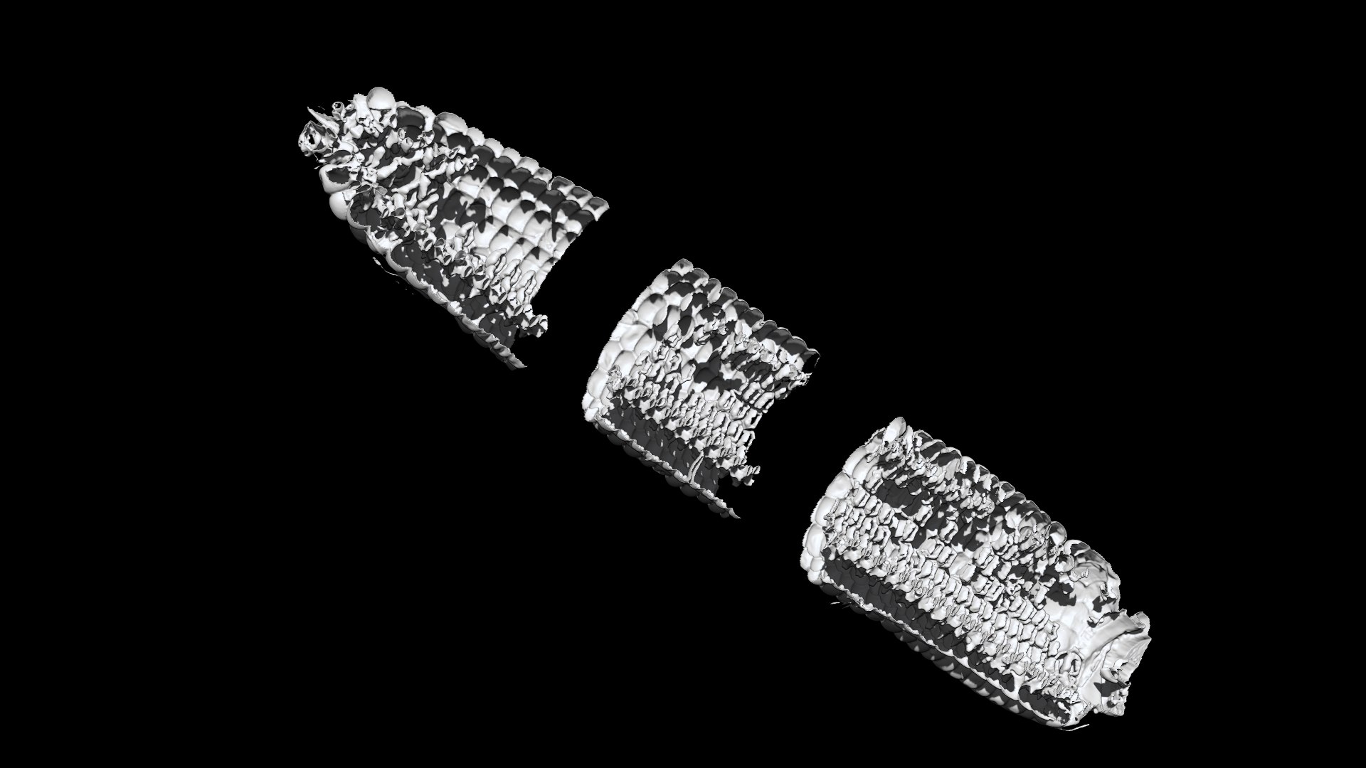 Corn 3D CT Scan Model Cut3 Half 3D - TurboSquid 1945277