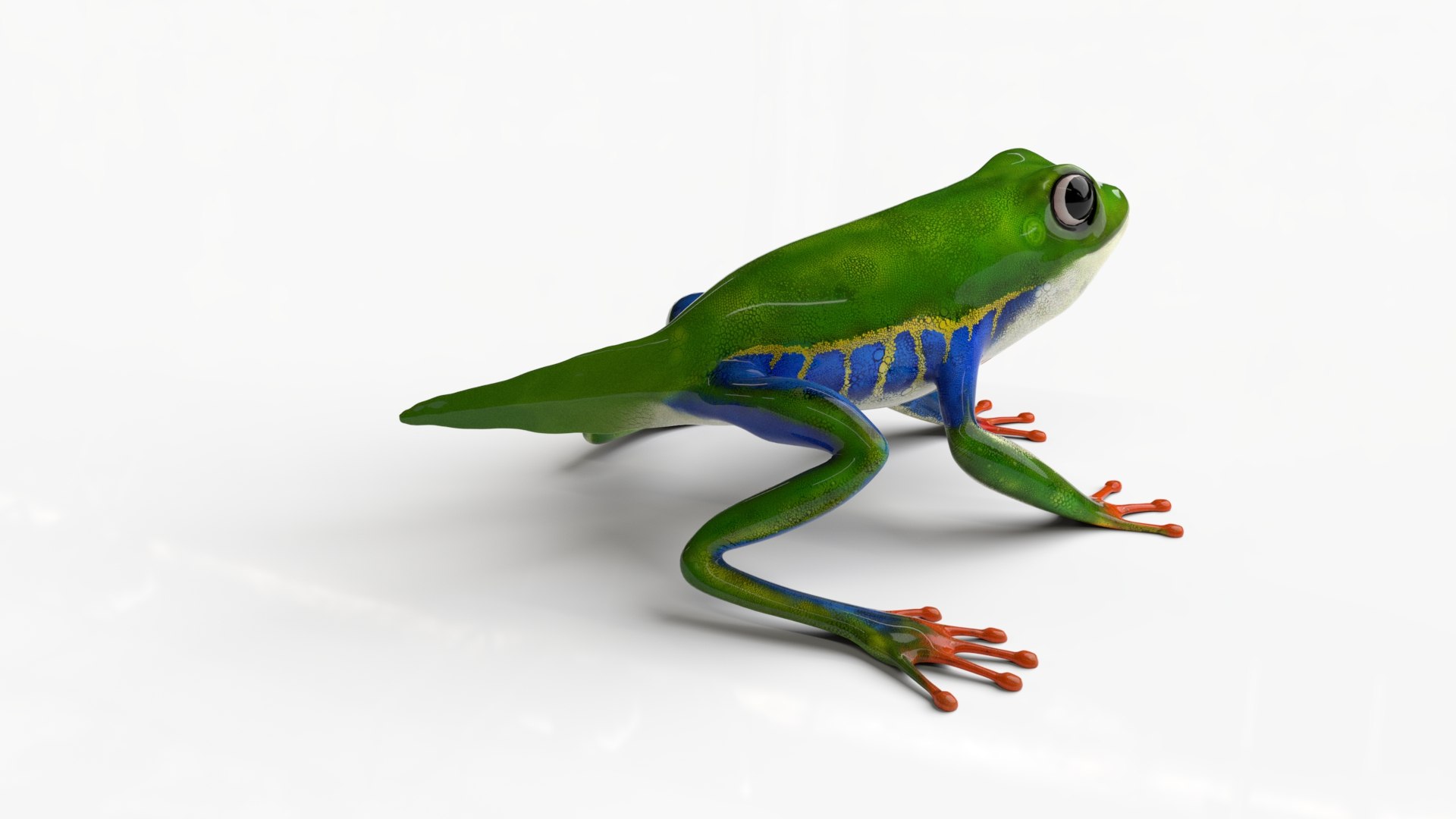 3D Tree Frog Rigged Arrow Poison Frog Model - TurboSquid 1714262