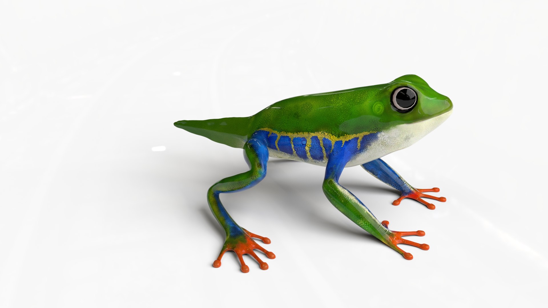3D Tree Frog Rigged Arrow Poison Frog Model - TurboSquid 1714262