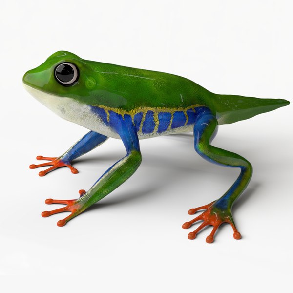 frog egg 3d model