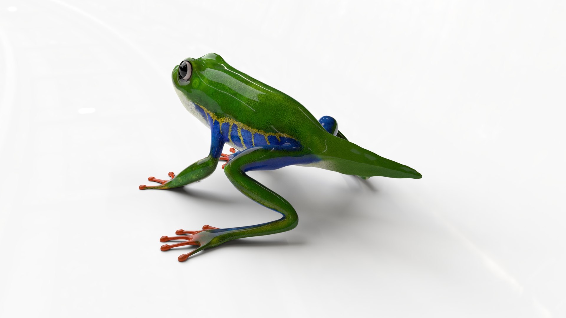 3D Tree Frog Rigged Arrow Poison Frog Model - TurboSquid 1714262