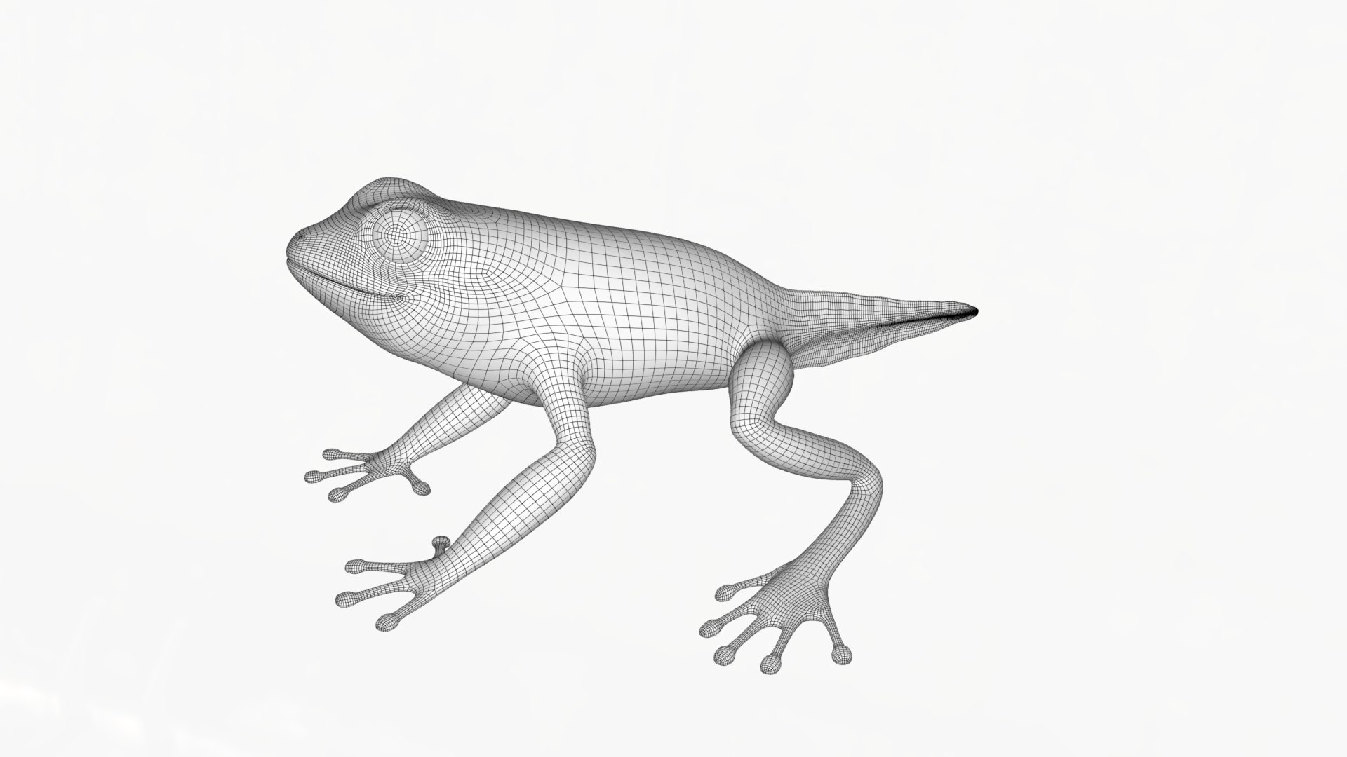 3D Tree Frog Rigged Arrow Poison Frog Model - TurboSquid 1714262