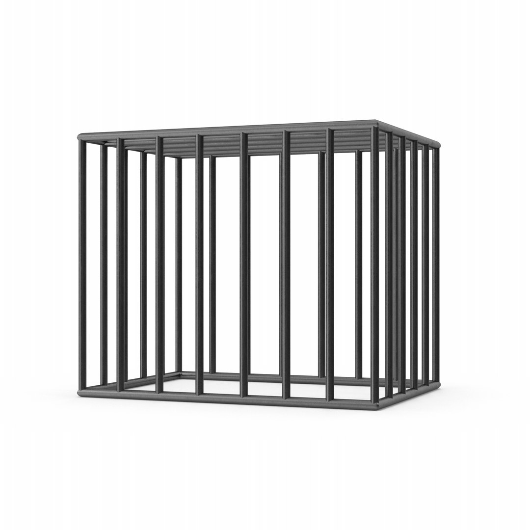 3D Metal Cage Model - TurboSquid 2159757