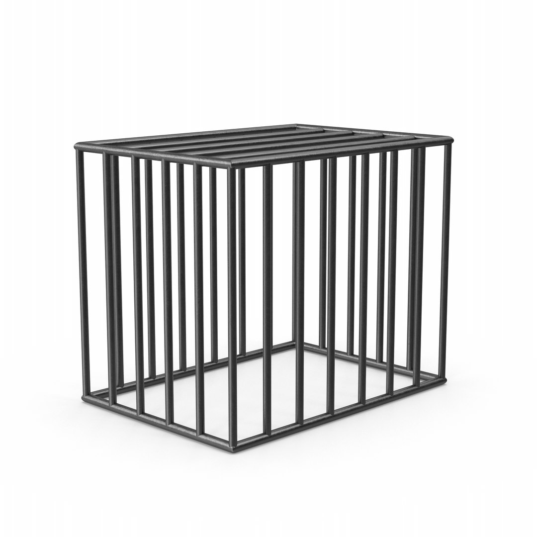 3D Metal Cage Model - TurboSquid 2159757
