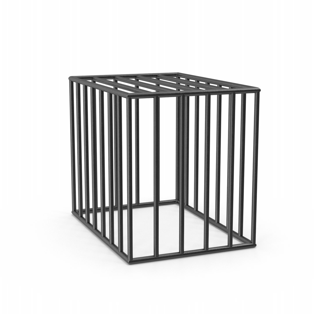 3D Metal Cage Model - TurboSquid 2159757
