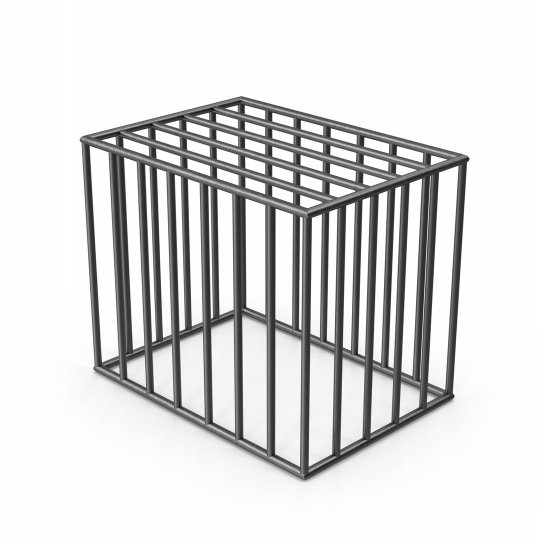 3D Metal Cage Model - TurboSquid 2159757
