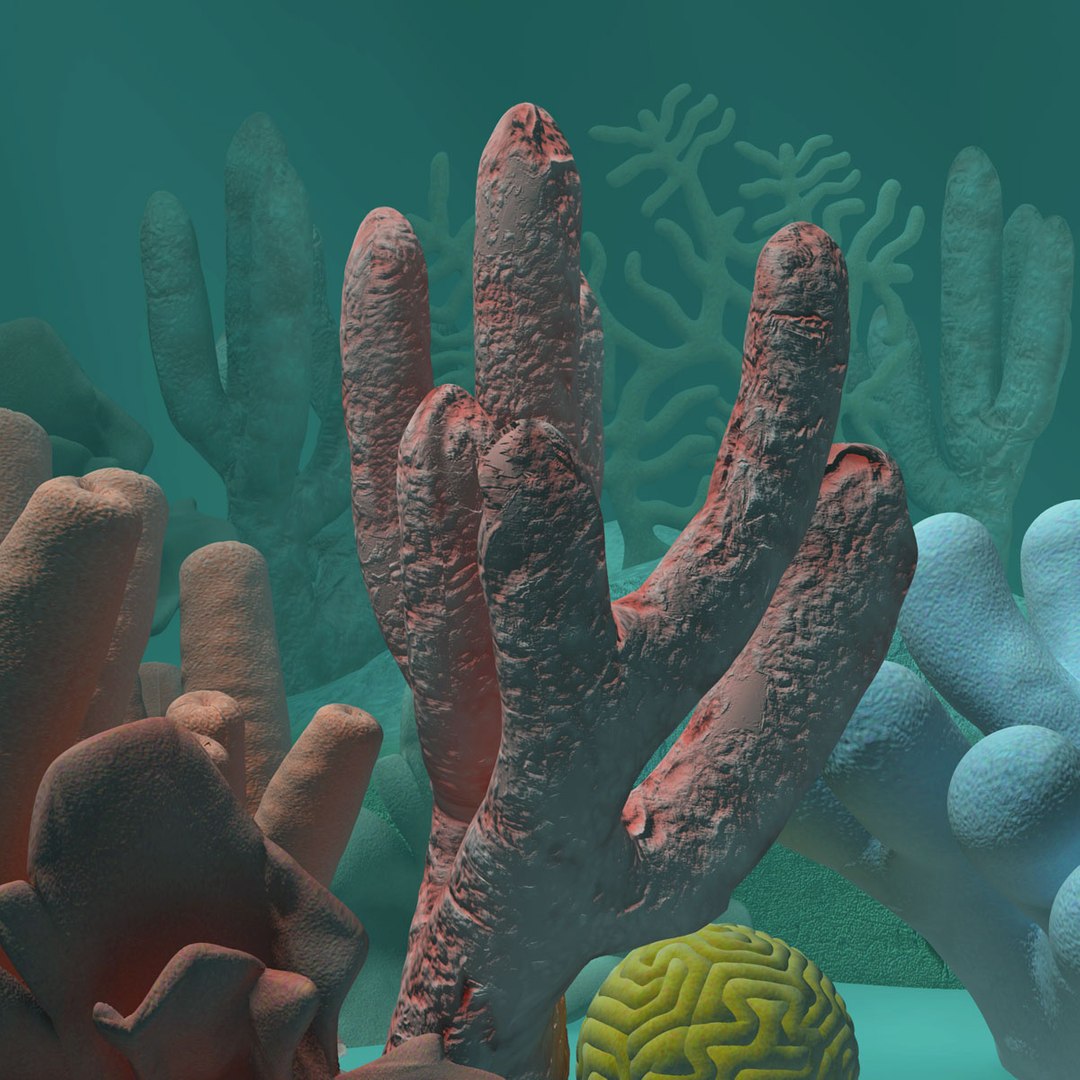 3d Corals Underwater
