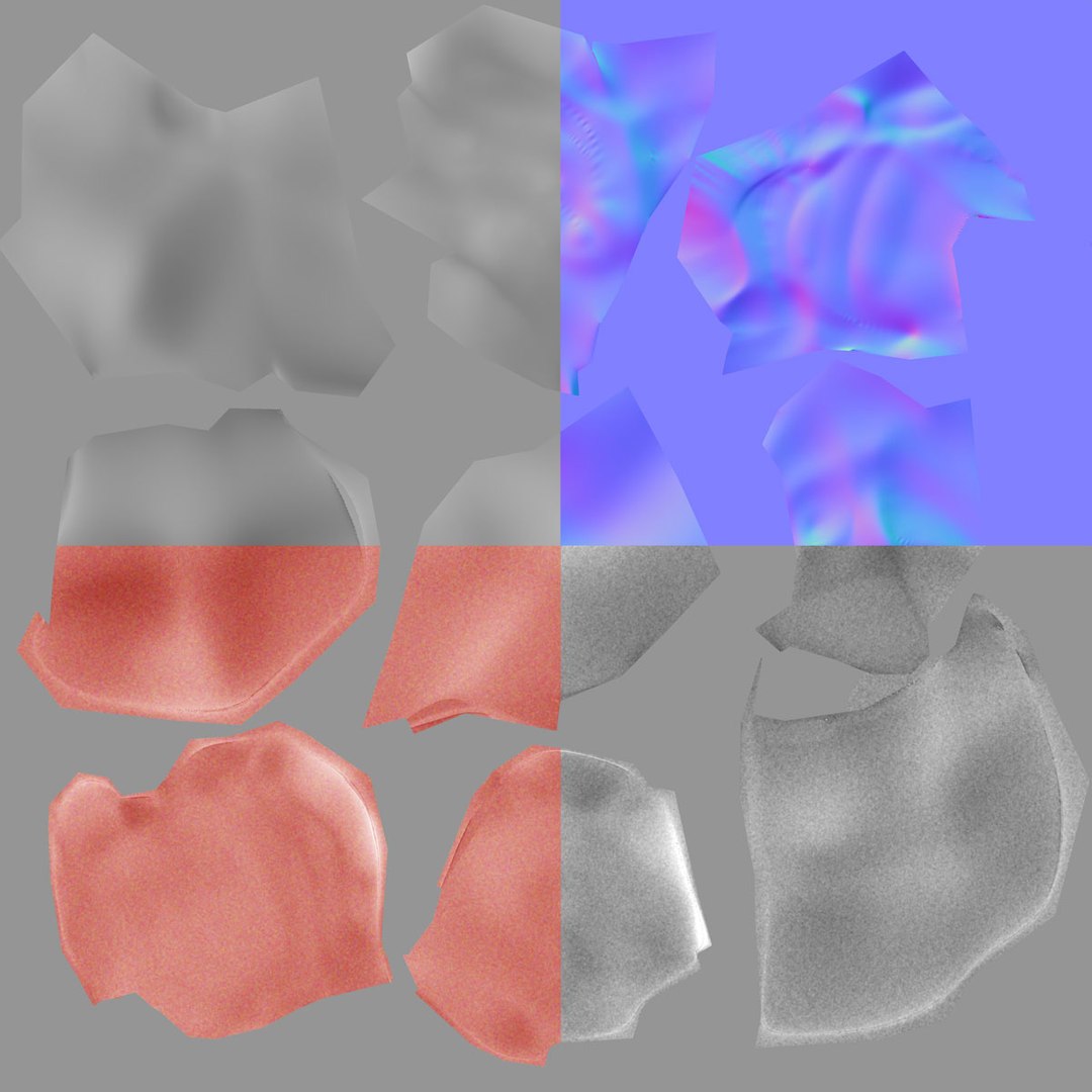 3d Corals Underwater