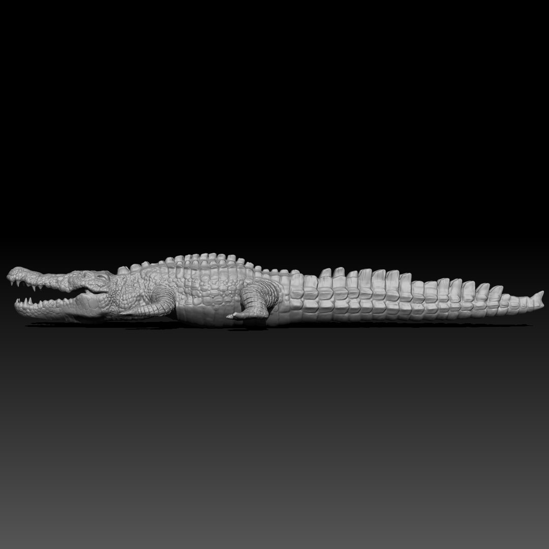 3d Crocodile Model