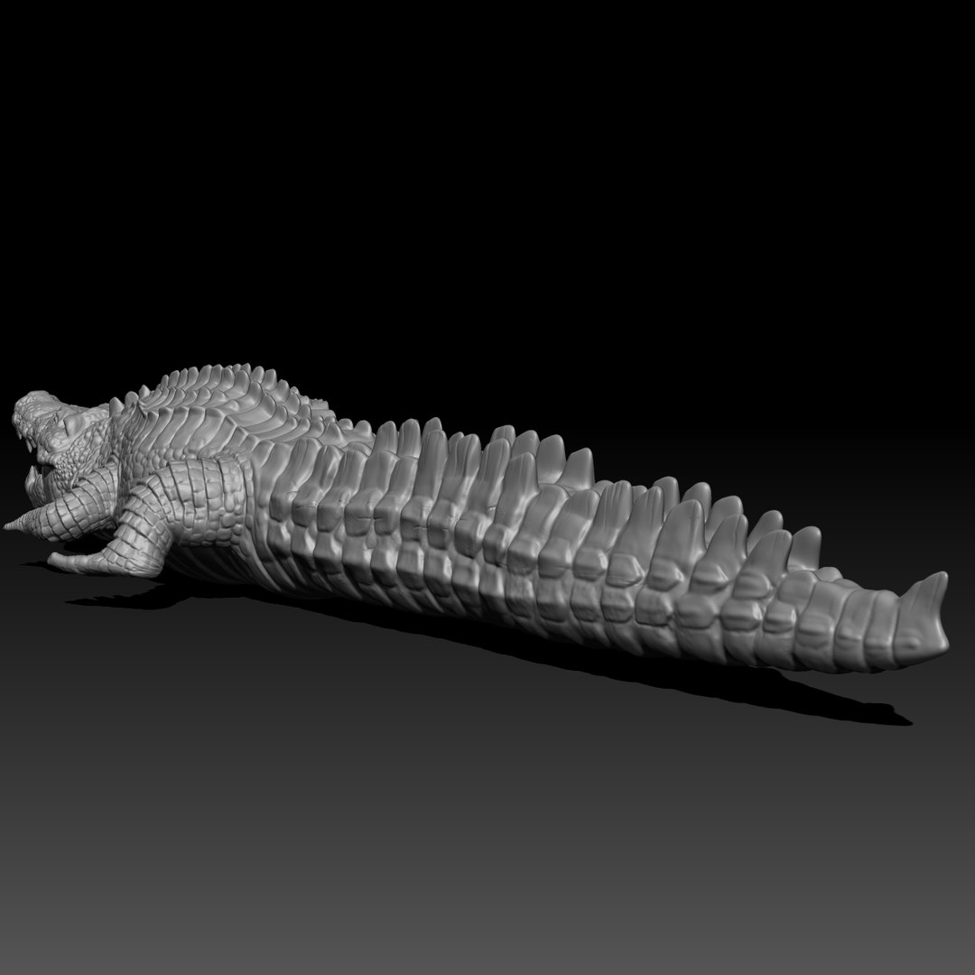 3d Crocodile Model