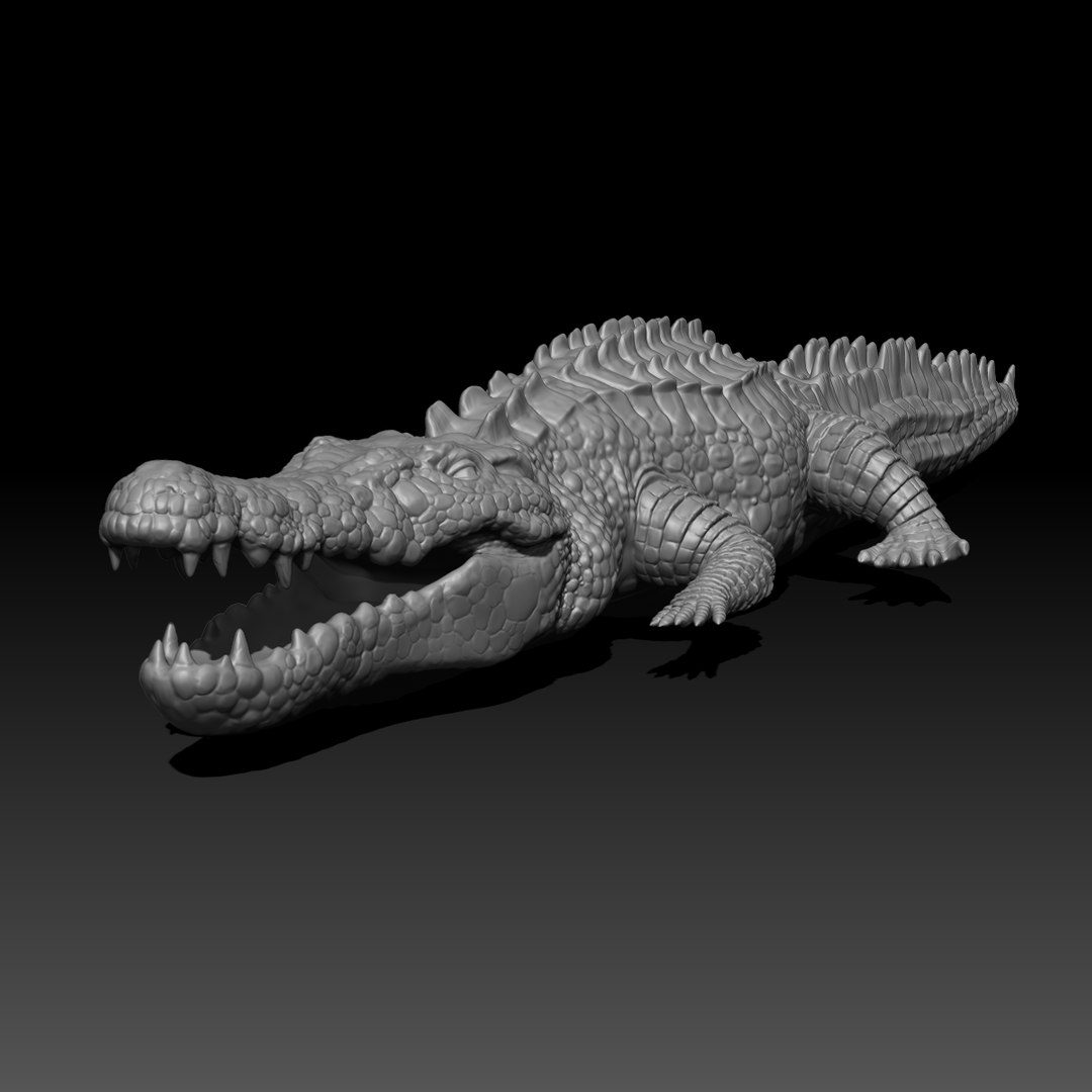 3d Crocodile Model