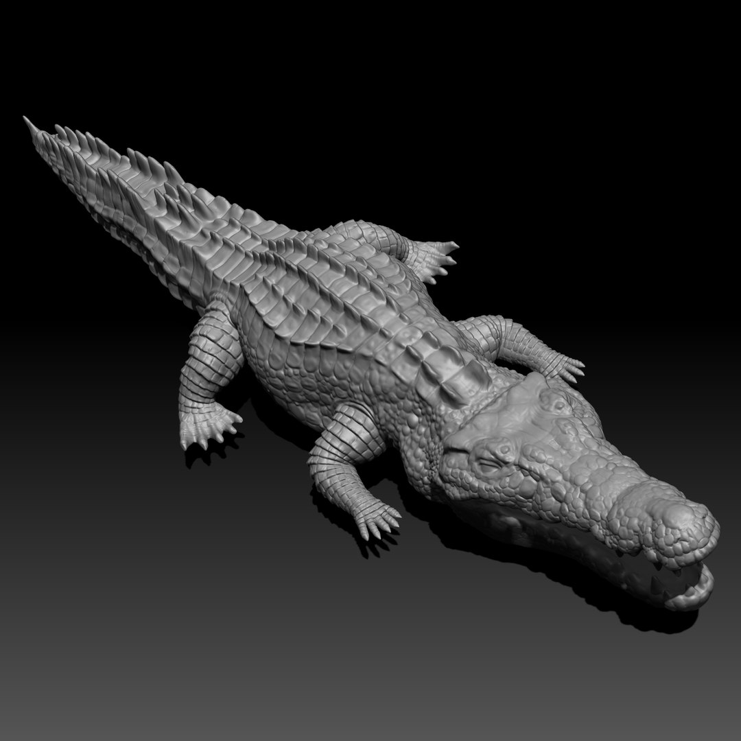 3d Crocodile Model