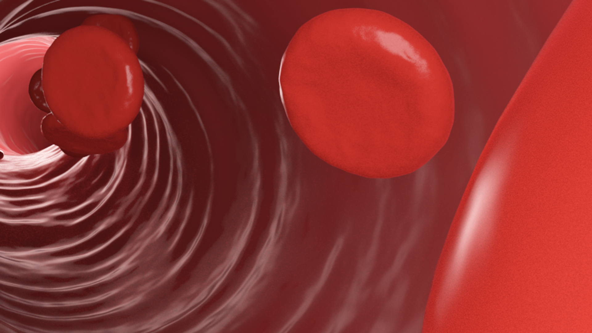 Blood Cells Vessel Segment Ma