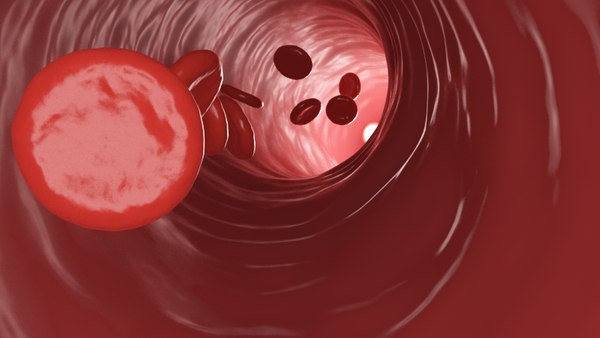 blood cells vessel segment ma