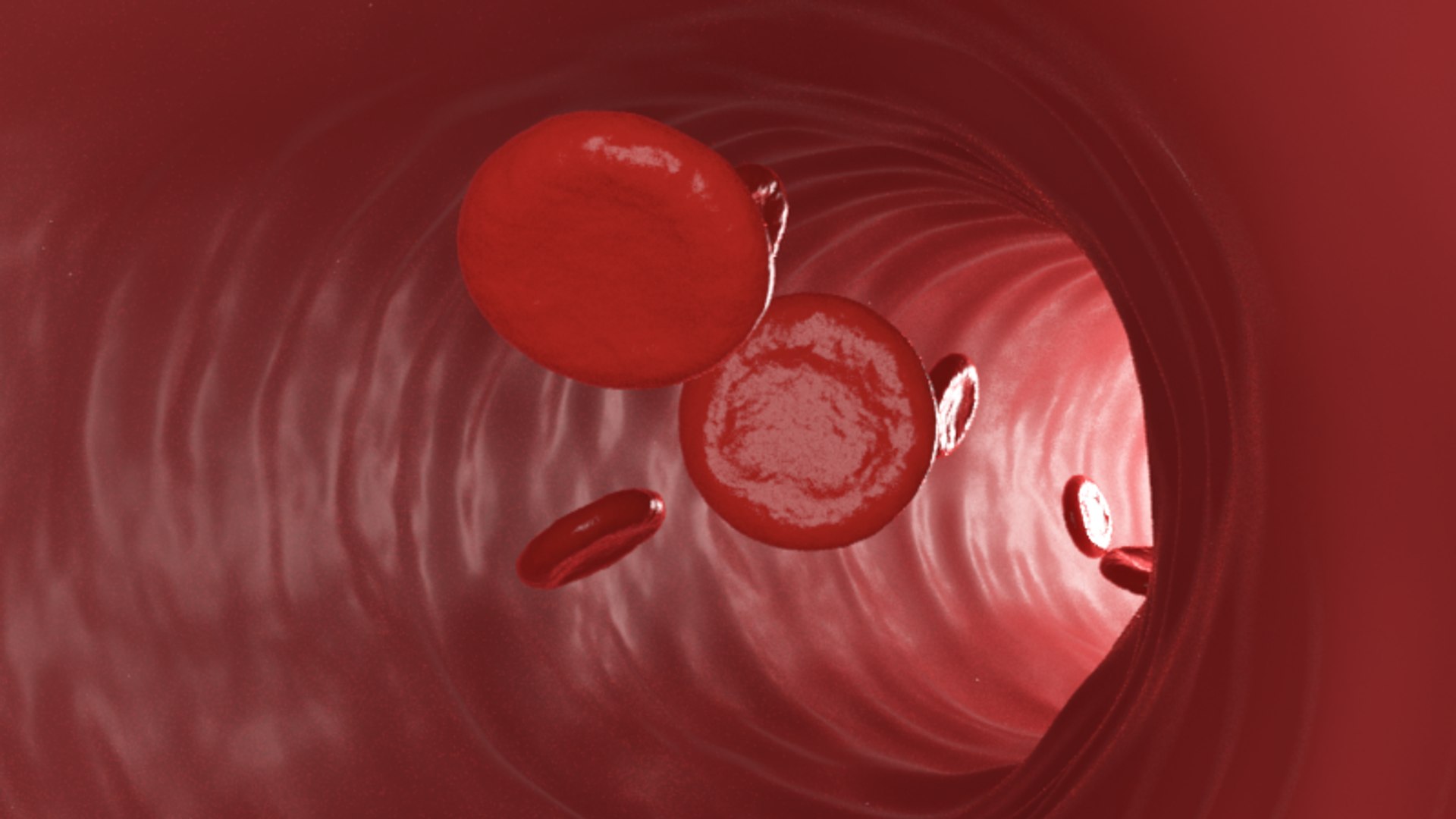 Blood Cells Vessel Segment Ma
