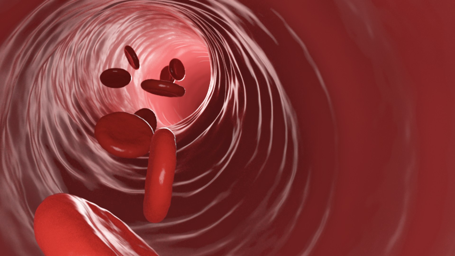 Blood Cells Vessel Segment Ma