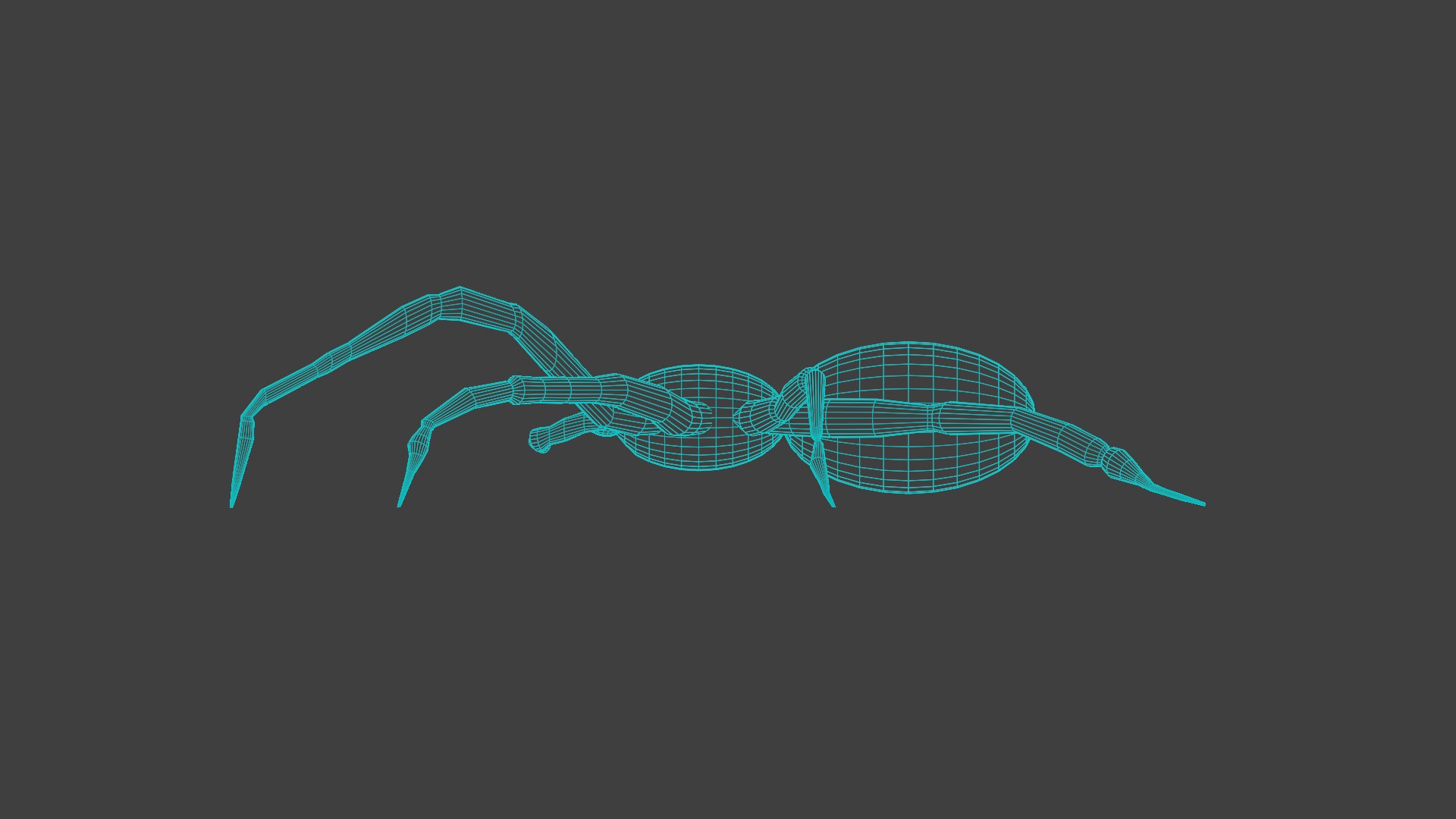 Spider insect nature 3D model - TurboSquid 1641154